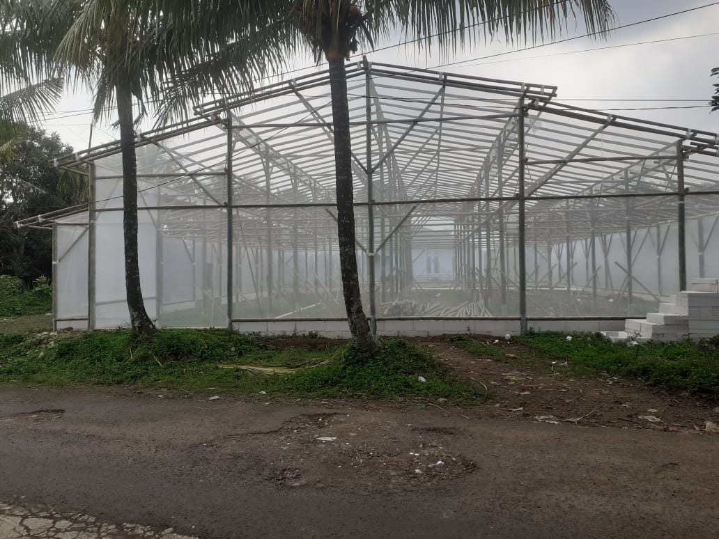 Jasa Pembuatan Greenhouse Bambu - #1 Berkualitas